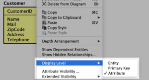 Entity Relationship Diagram in Astah Professional